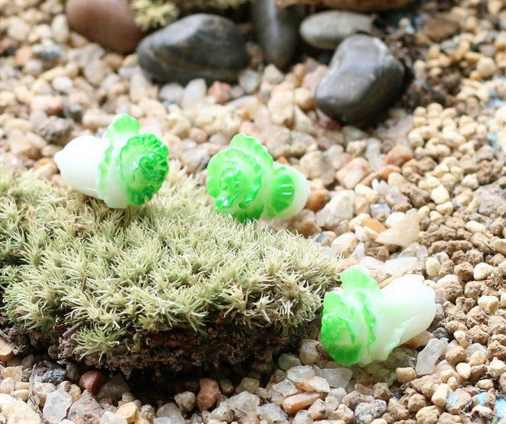 Miniature Cabbage (2 pcs) – Micro Landscape Design