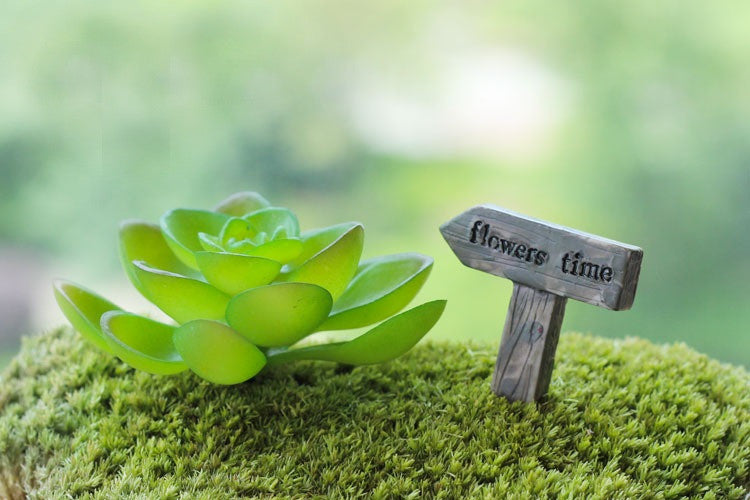 Miniature Garden Signs Fairy Garden Believe Monument, Fairy Garden