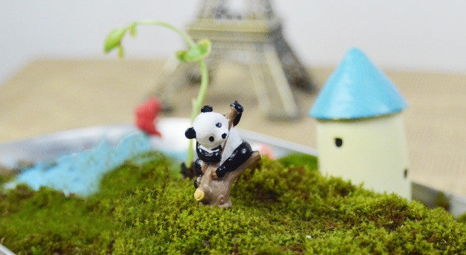 Miniature Panda Bear – Micro Landscape Design