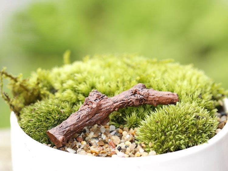 Miniature Tree Trunk – Micro Landscape Design